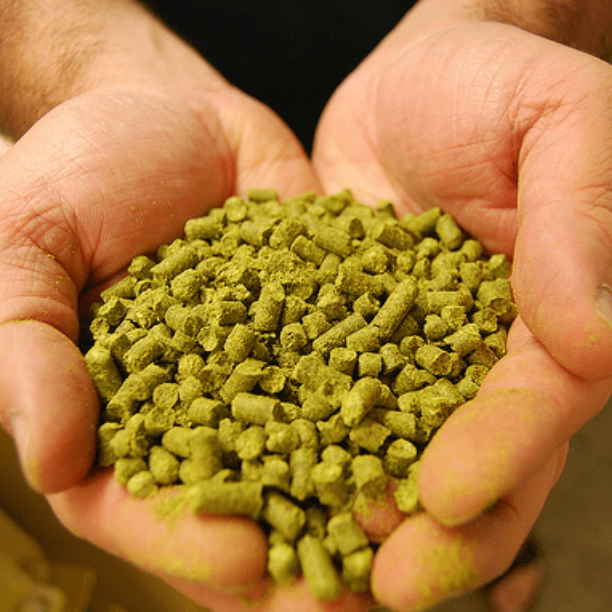 Lúpulo | The Craft Drinks Lab