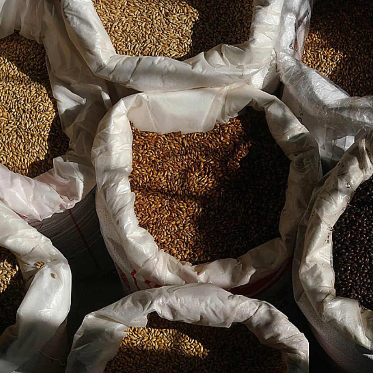 Malta Especial | The Craft Drinks Lab