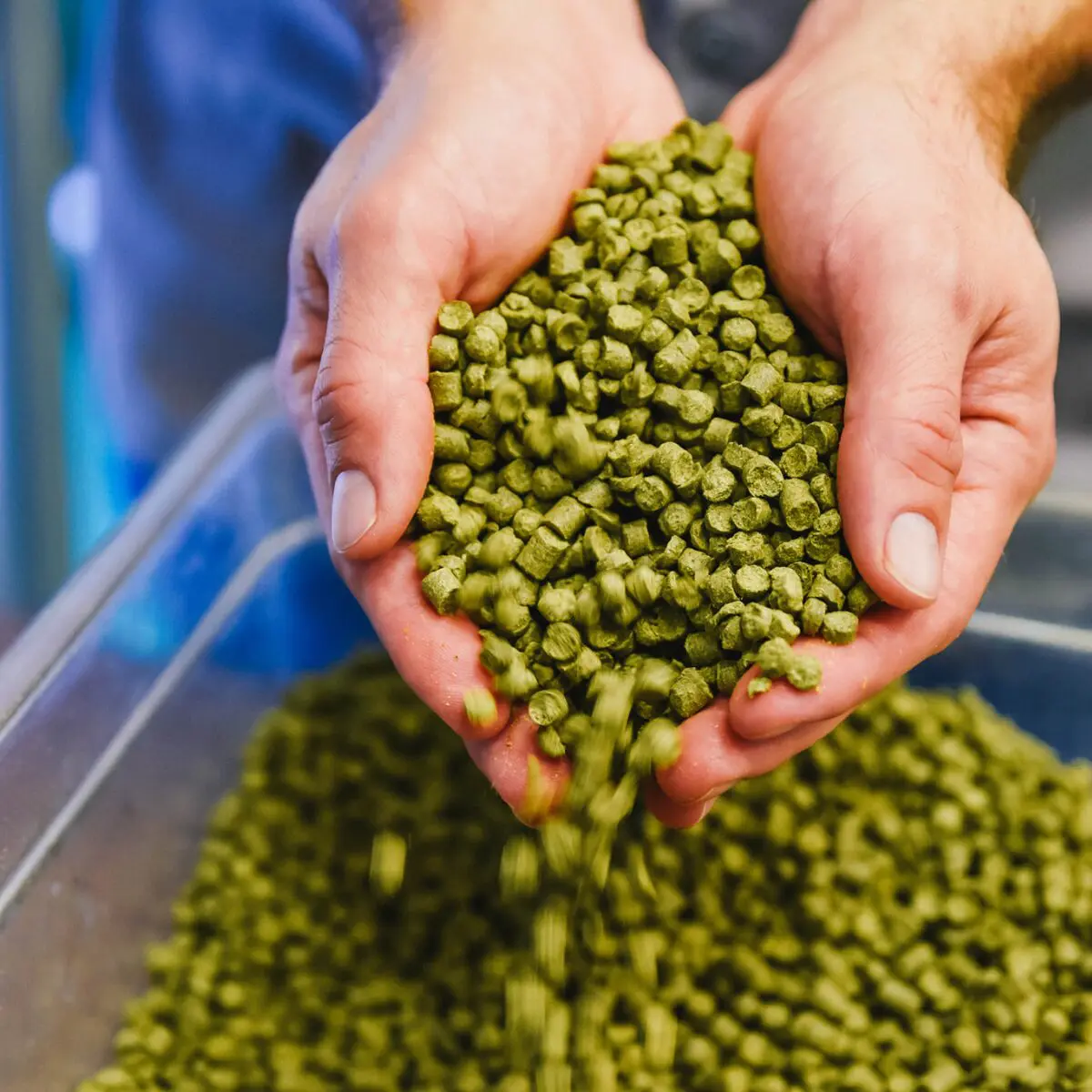 Presentación 100 Grs | The Craft Drinks Lab